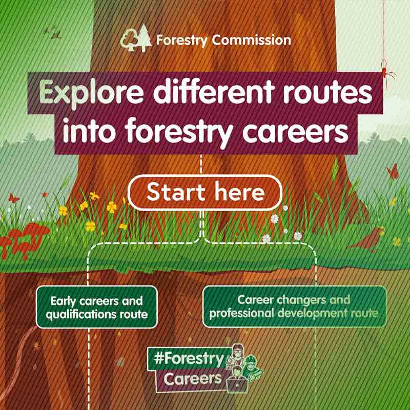 Peter Dykeaylen - Liverpool based Graphic Designer and Creative Director